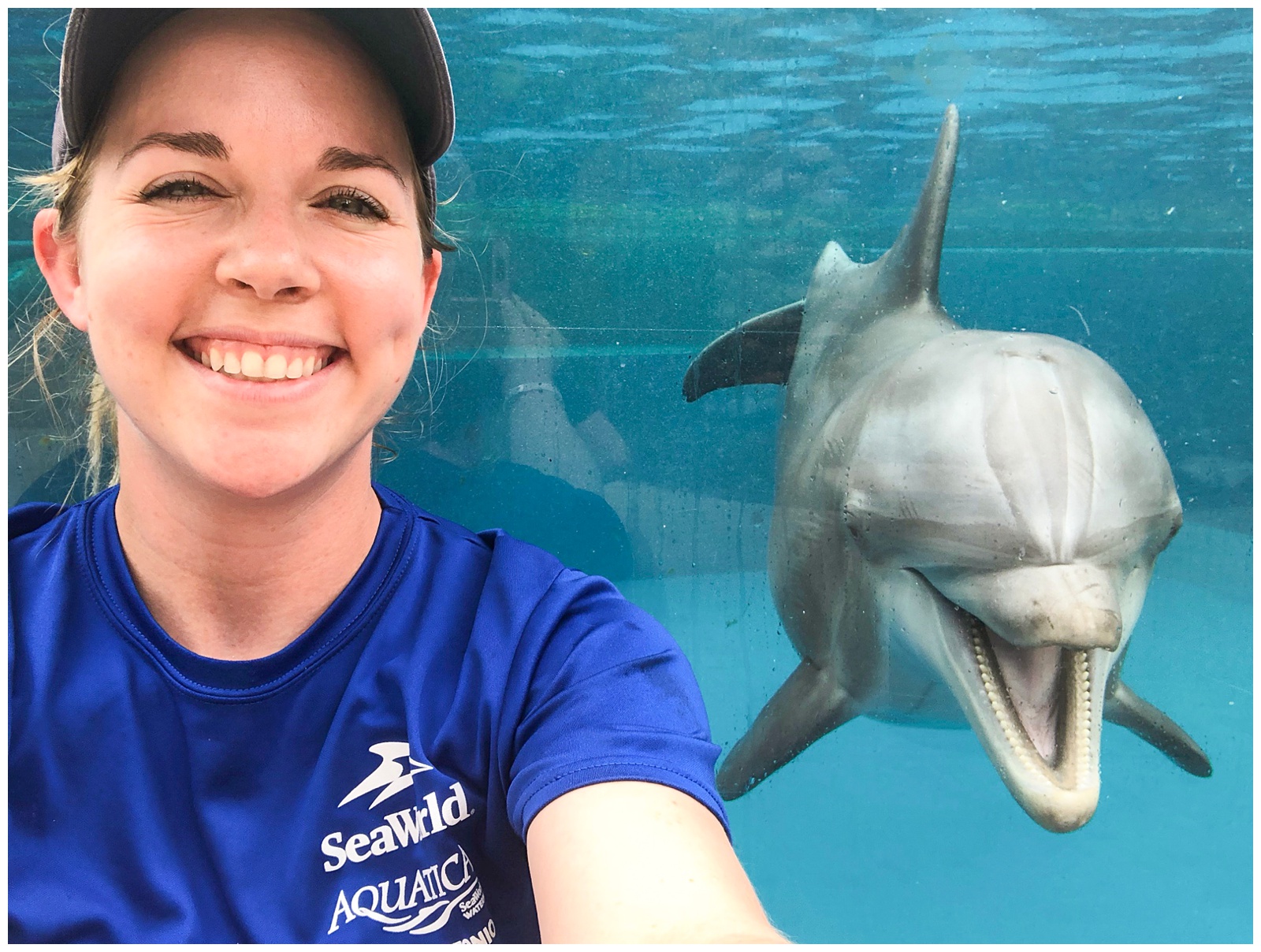 Dolphin Trainer Turned Photographer - the Long Sordid Tail ...